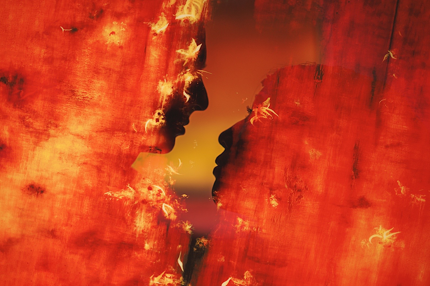 2022 Year in Review by Washington DC Photographer Sam Hurd - Sam Hurd ...