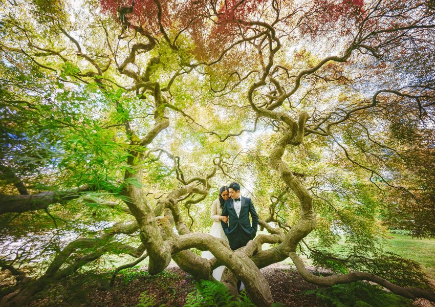 Washington DC Wedding Photographer - Sam Hurd Photography