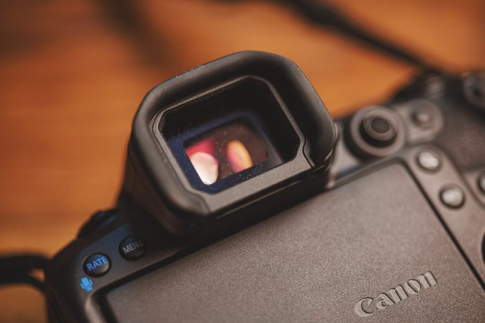 Canon R5 Mark ii Review // Real-World Use After 17k Images - Sam Hurd ...