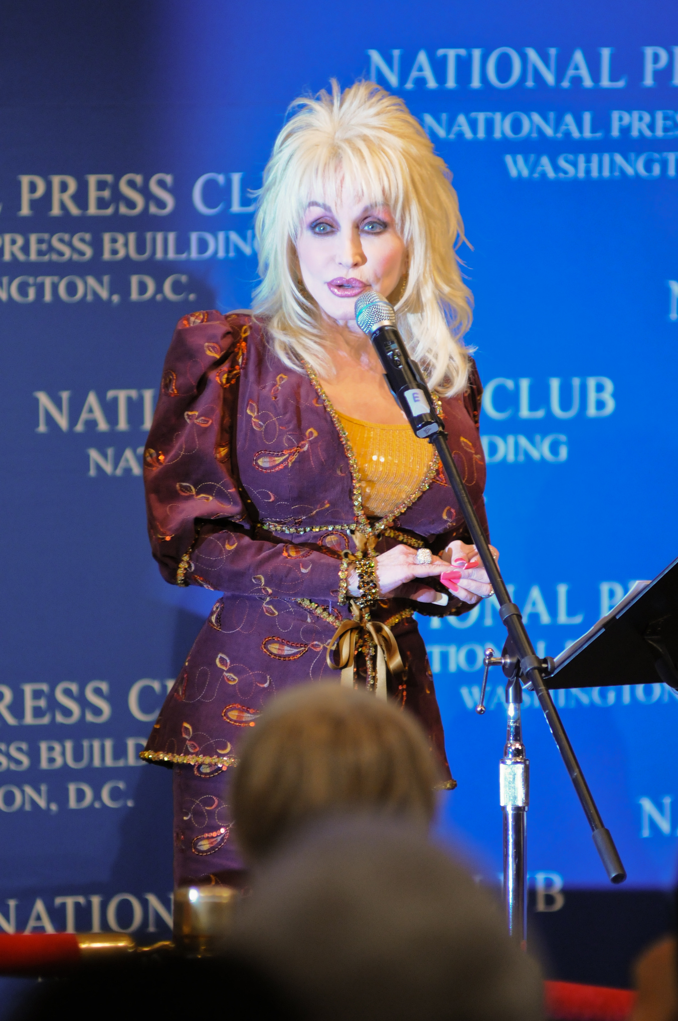 Epic Portait Dolly Parton - Sam Hurd Photography